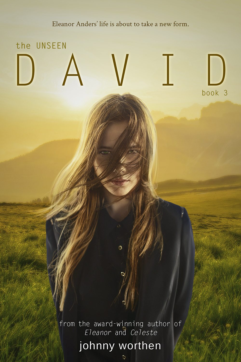 David: Book 3 (The Unseen) – Book Review