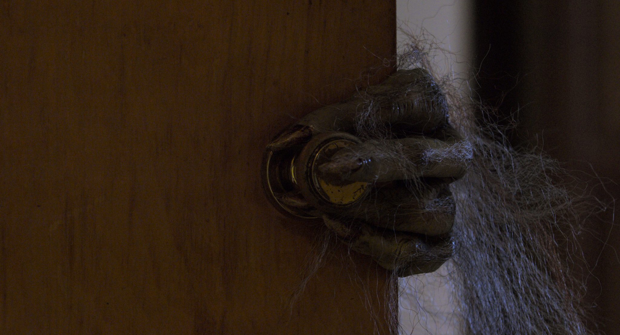 New ‘Fang’ Teaser Trailer