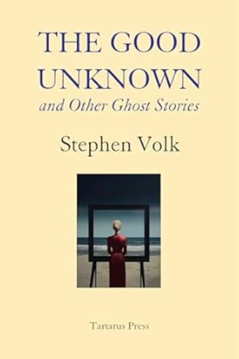 Book Review: THE GOOD UNKNOWN